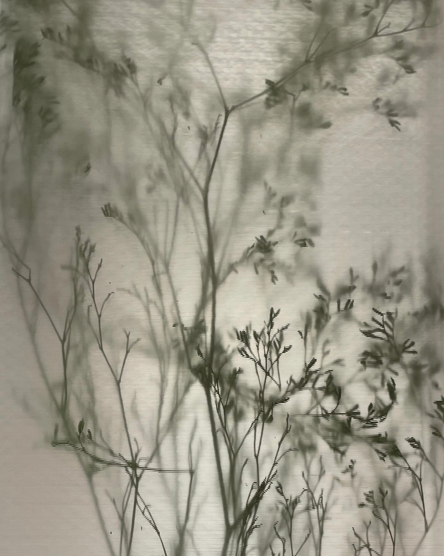 Projects – Argot Studio